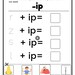 Short Vowel Word Family CVC Workbook | Printable Phonics Activity for ...
