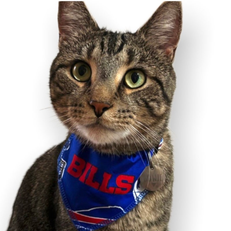 Bill the Cat - Etsy