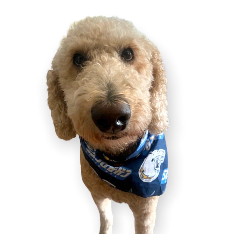 San Diego Chargers - Etsy