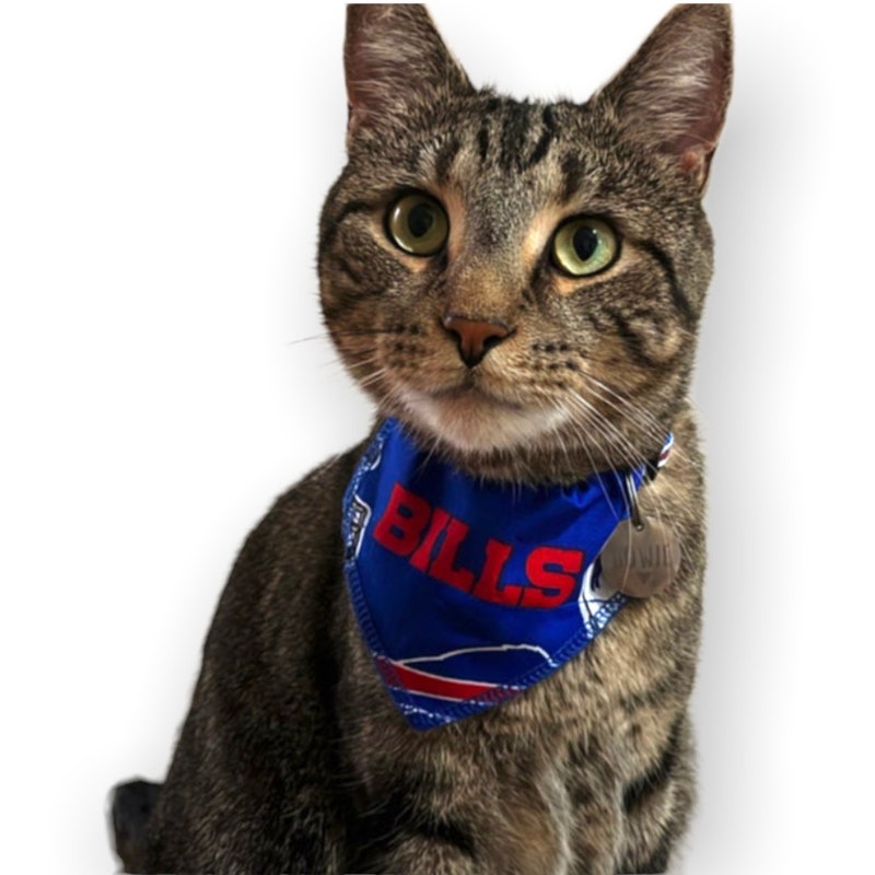 Bill the Cat - Etsy