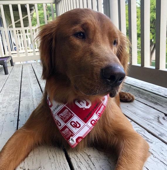 University of Oklahoma Sooners Dog Bandana | Etsy