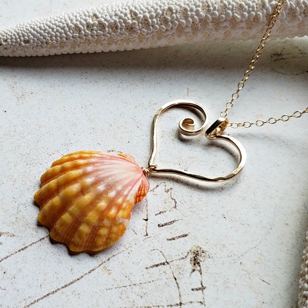 Sunrise Shell - Etsy