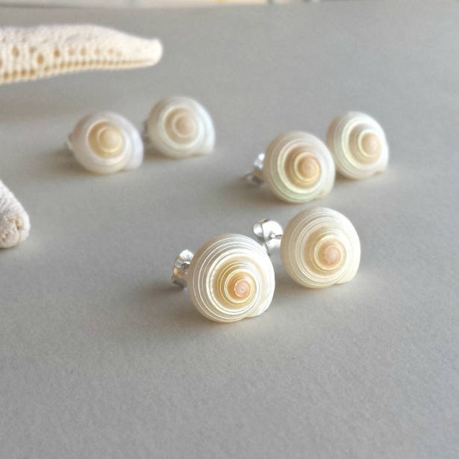 Spiral Shell Stud Earrings Beach Shell Studs Iridescent - Etsy
