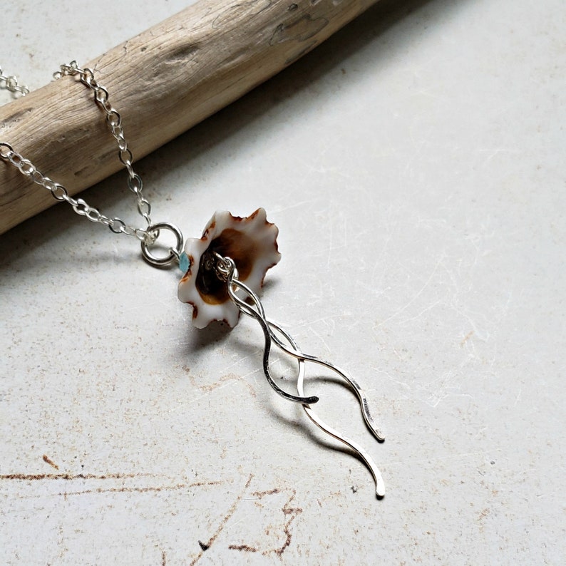 Jellyfish Necklace, Opihi Shell Necklace, Hawaiian Shell Necklace ...