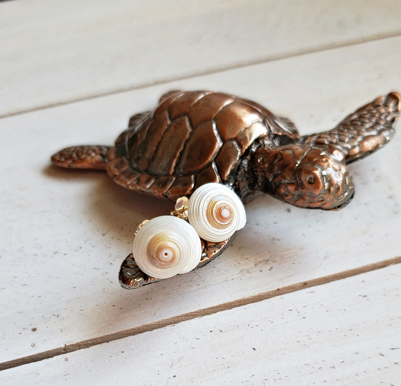Spiral Shell Stud Earrings Beach Shell Studs Iridescent - Etsy