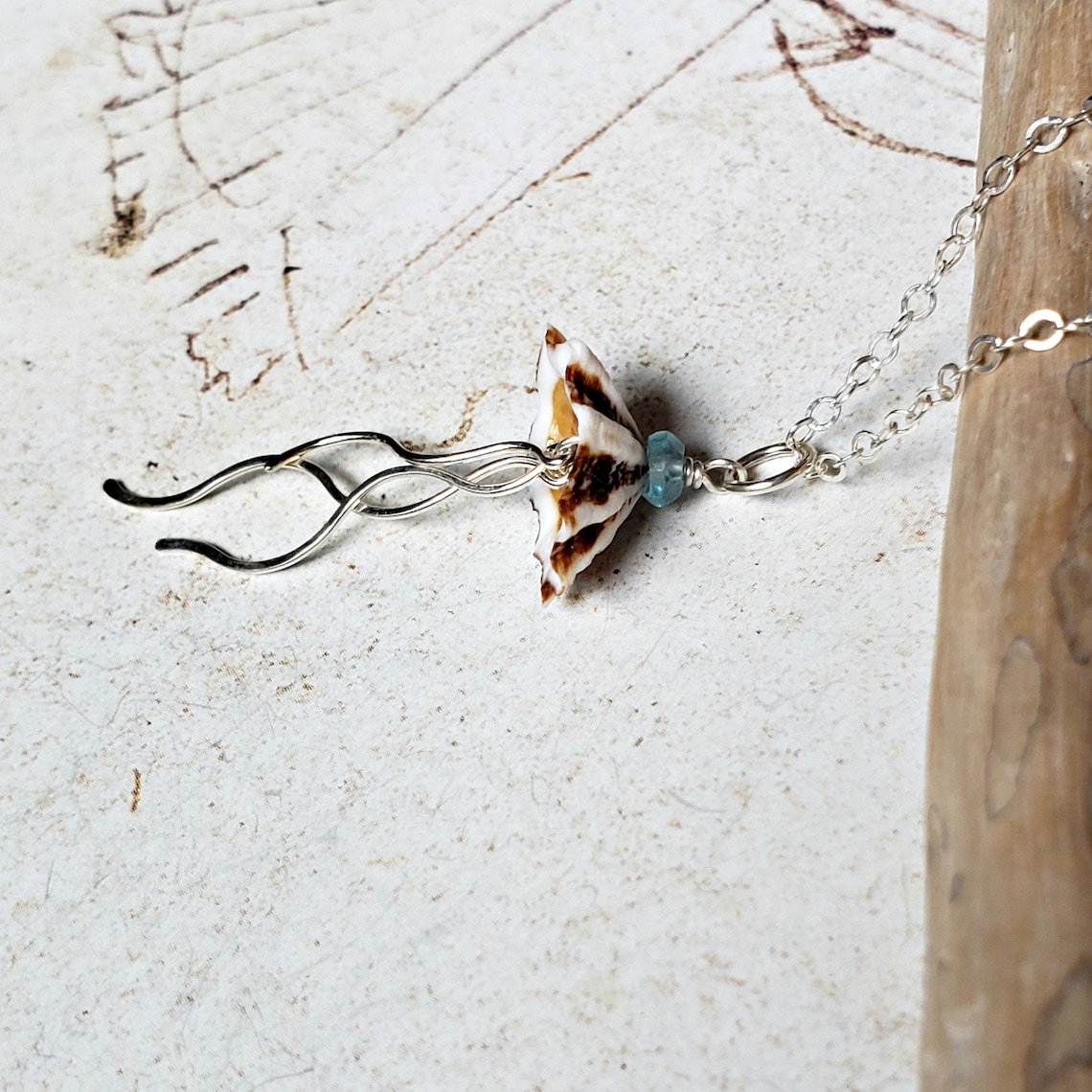 Jellyfish Necklace Opihi Shell Necklace Hawaiian Shell - Etsy