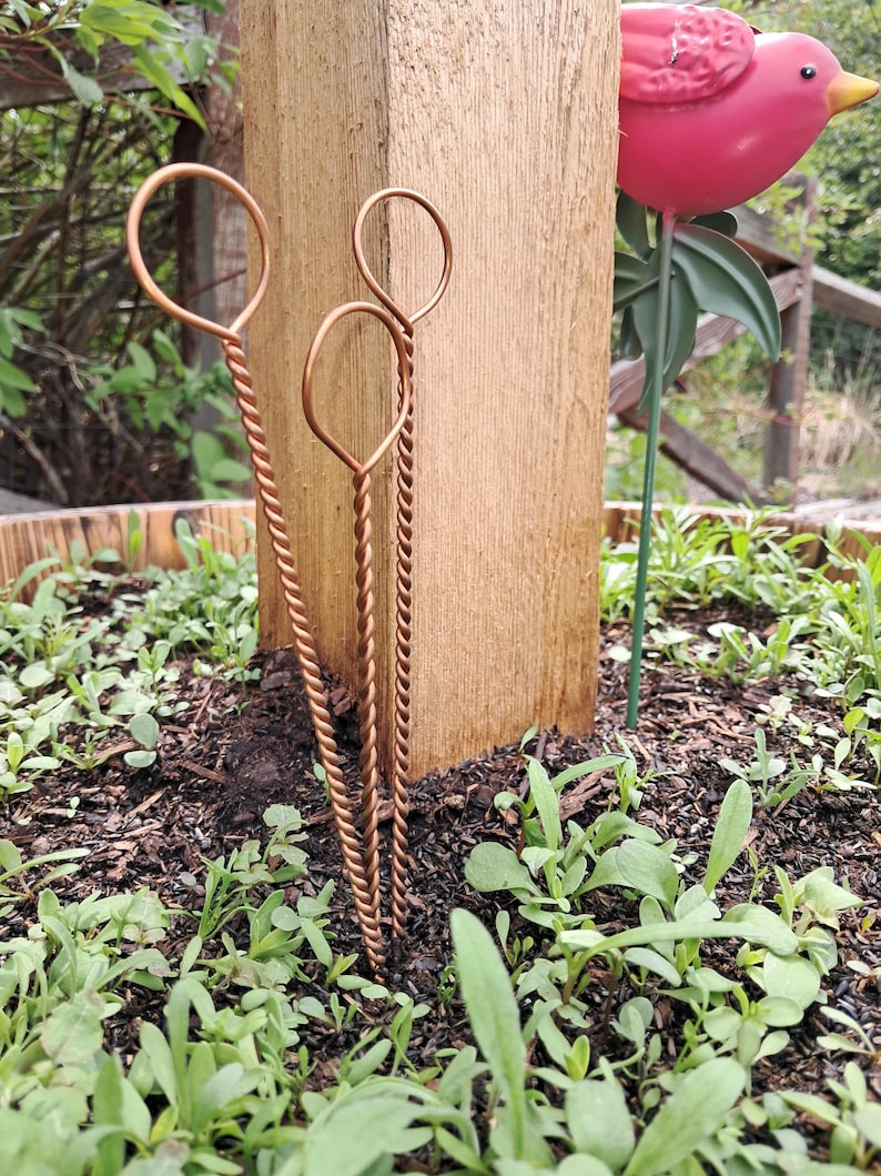 Hand Twisted Copper Garden Stake for Electroculture – Decorative Energy ...