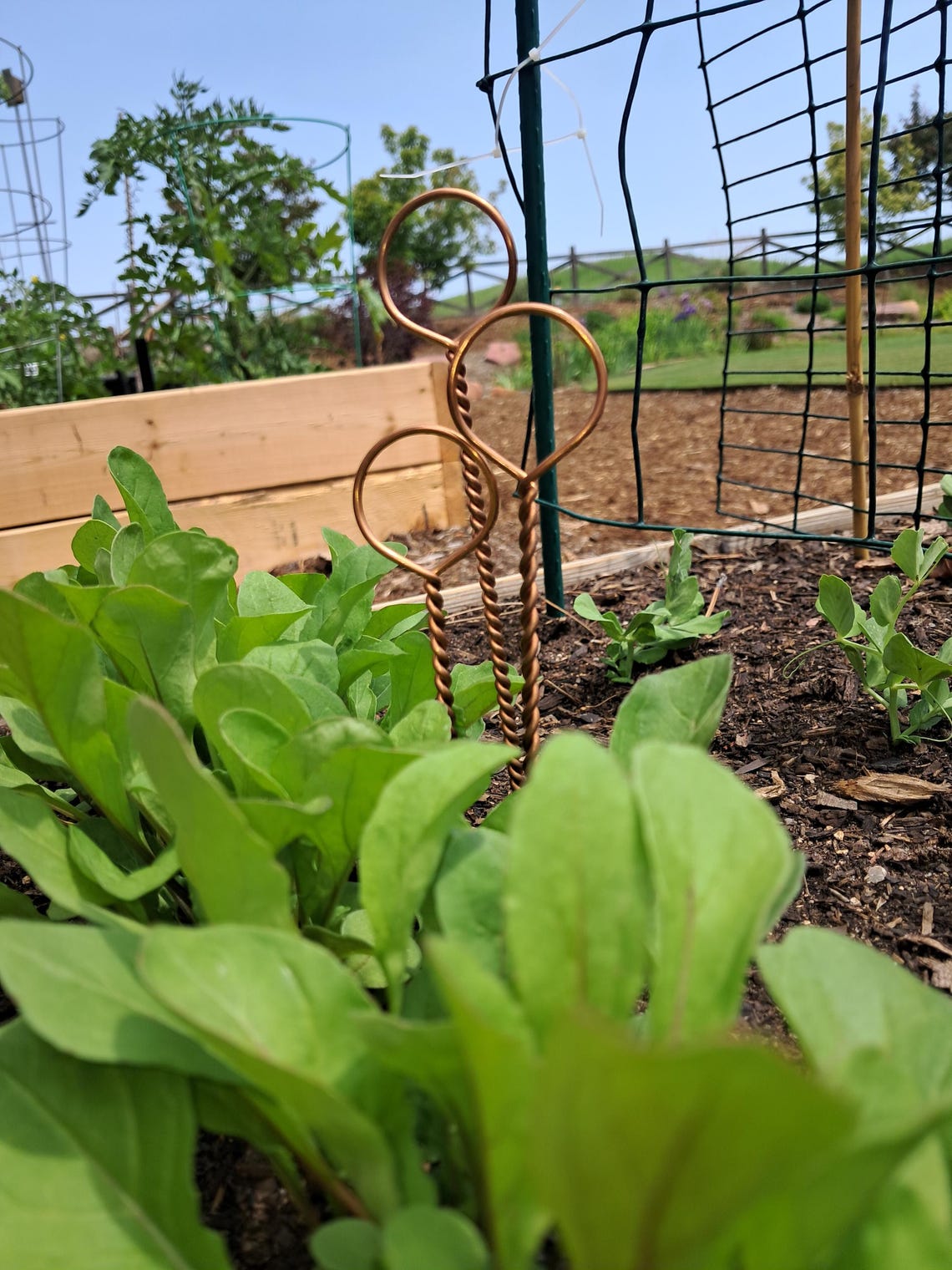 Hand Twisted Copper Garden Stake for Electroculture – Decorative Energy ...