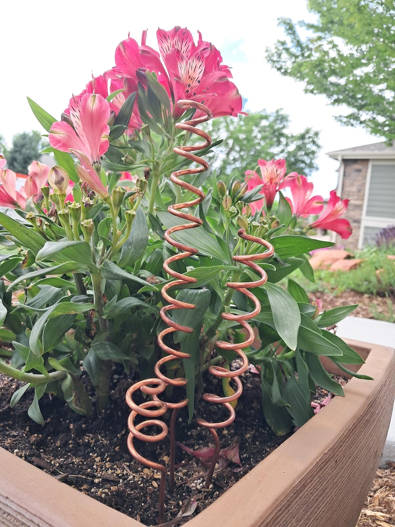 Handmade Copper Spiral Plant Stake - Electroculture - Garden Decoration ...