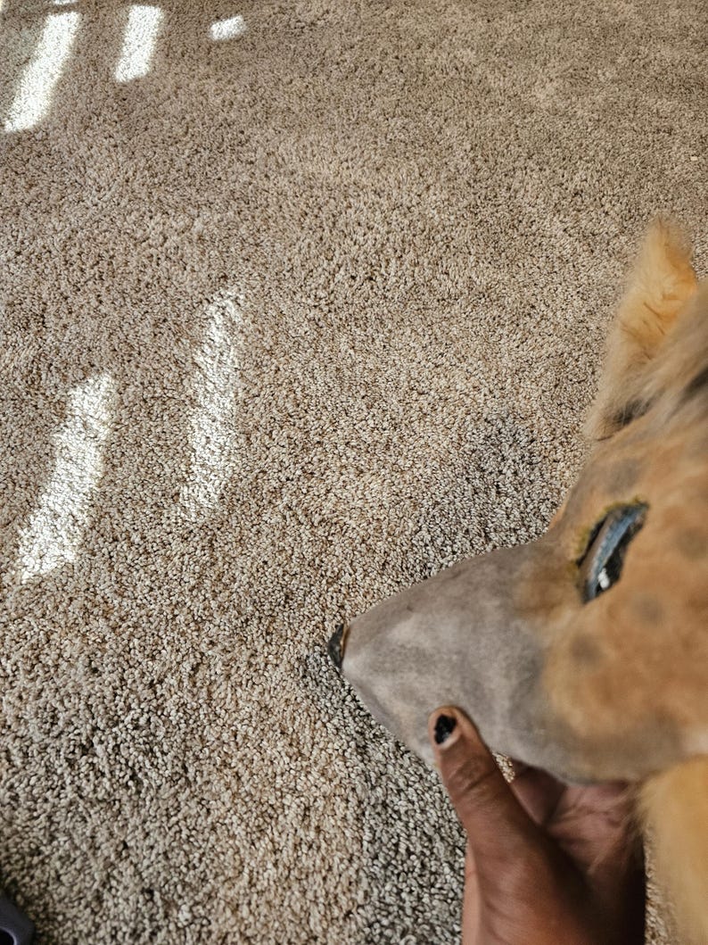 Hyena Mask !! - Etsy