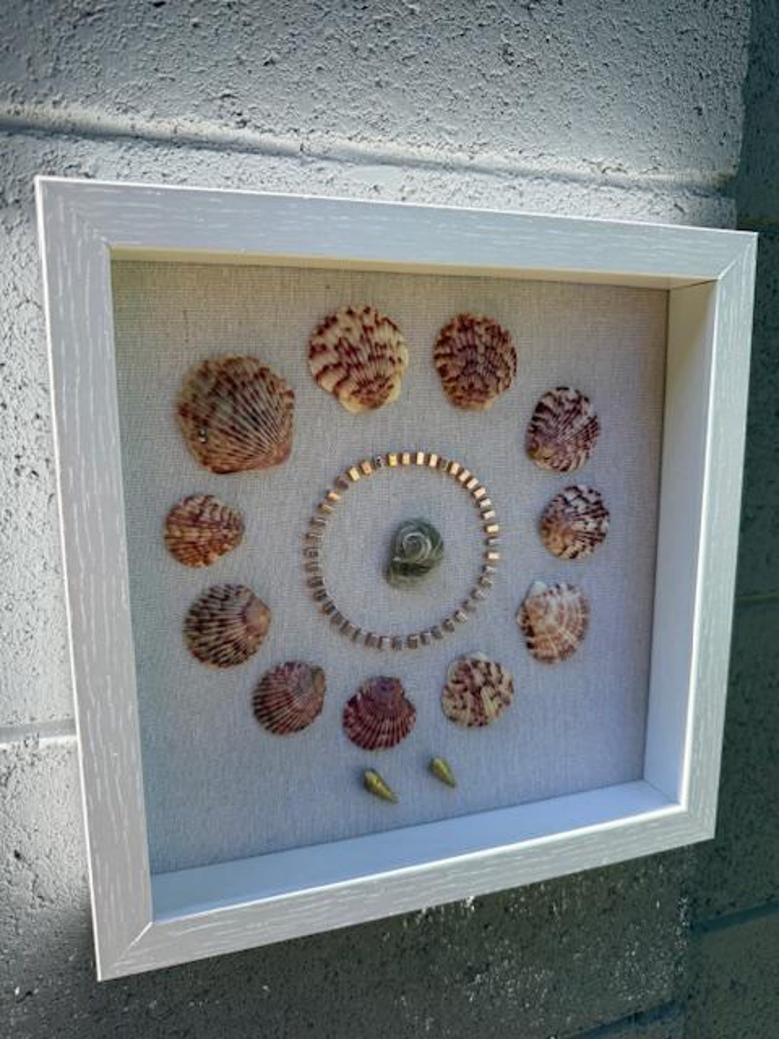 A Gift for You - Calico Scallop Shell Wall Art – Beach Coastal Decor ...