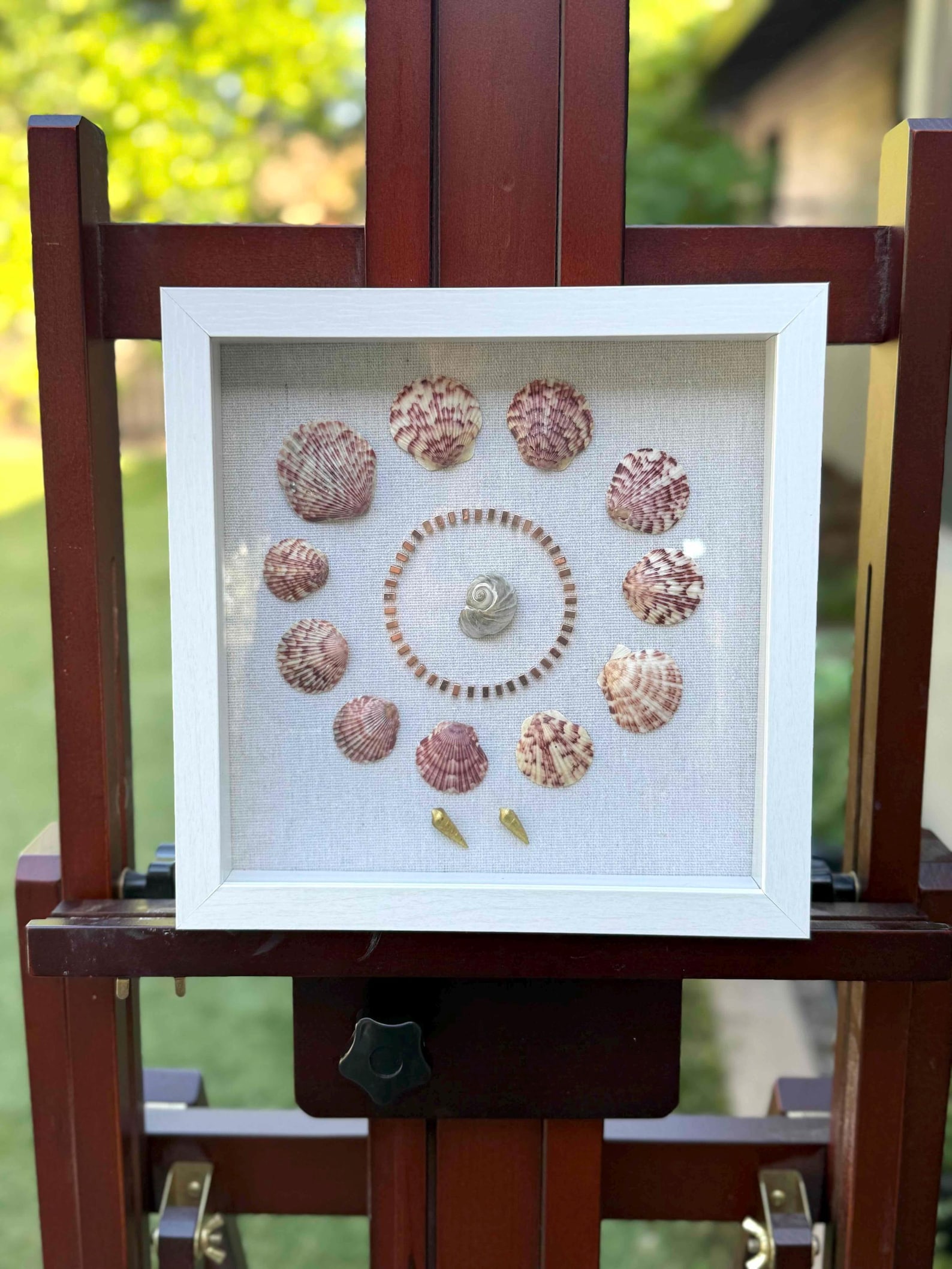 A Gift for You - Calico Scallop Shell Wall Art – Beach Coastal Decor ...