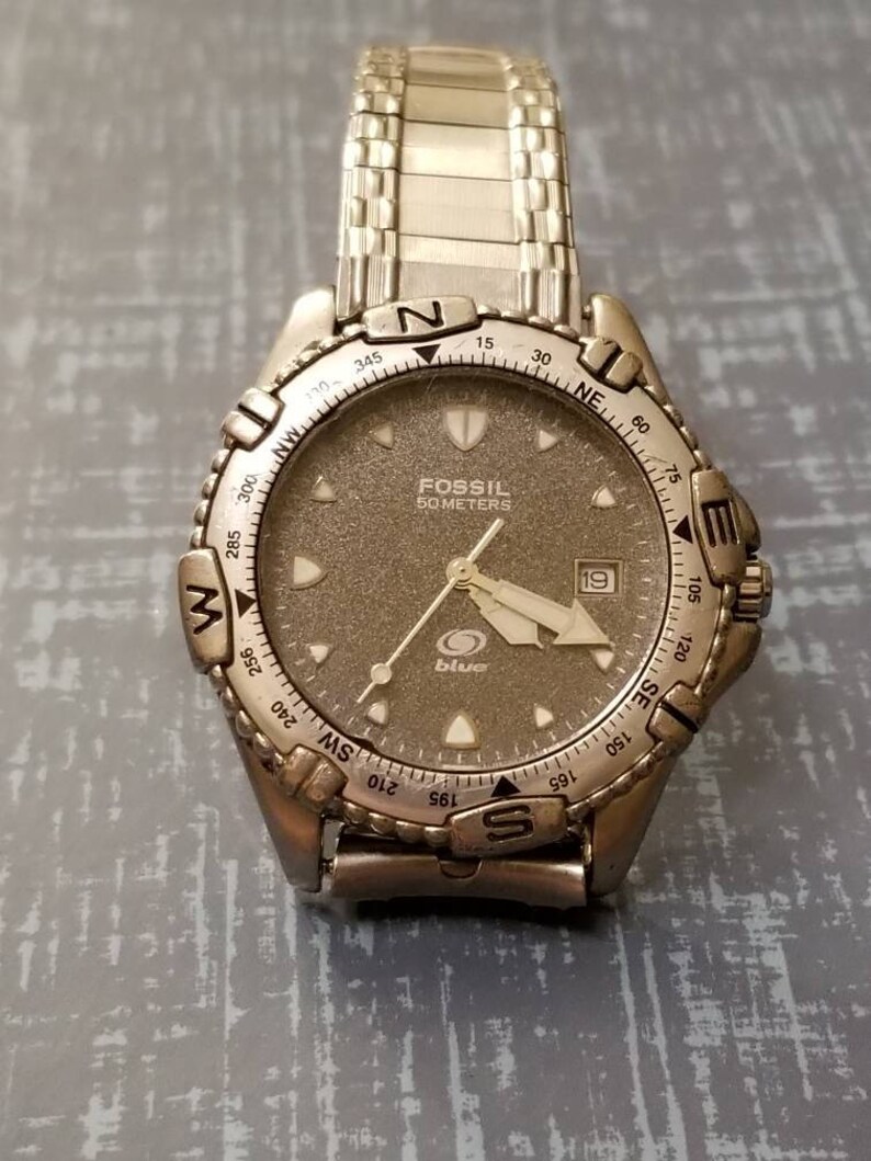 FOSSIL Gentleman's Wristwatch, Fossil Blue, Stainless Gentleman's 50 ...