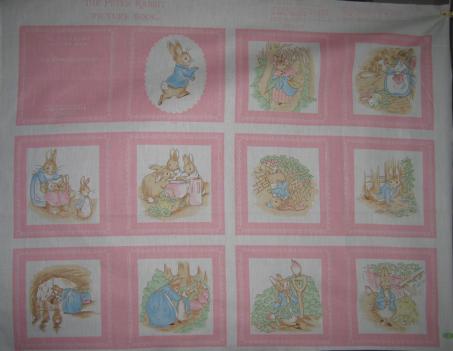 Beatrix Potter the Tale of Peter Rabbit Cloth Book Frederick | Etsy
