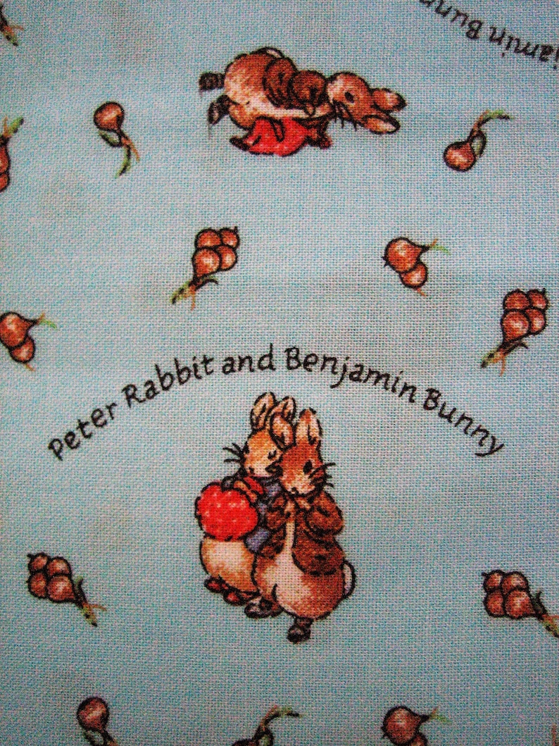 Peter Rabbit and Benjamin Bunny Fabric Beatrix Potter 17 X - Etsy
