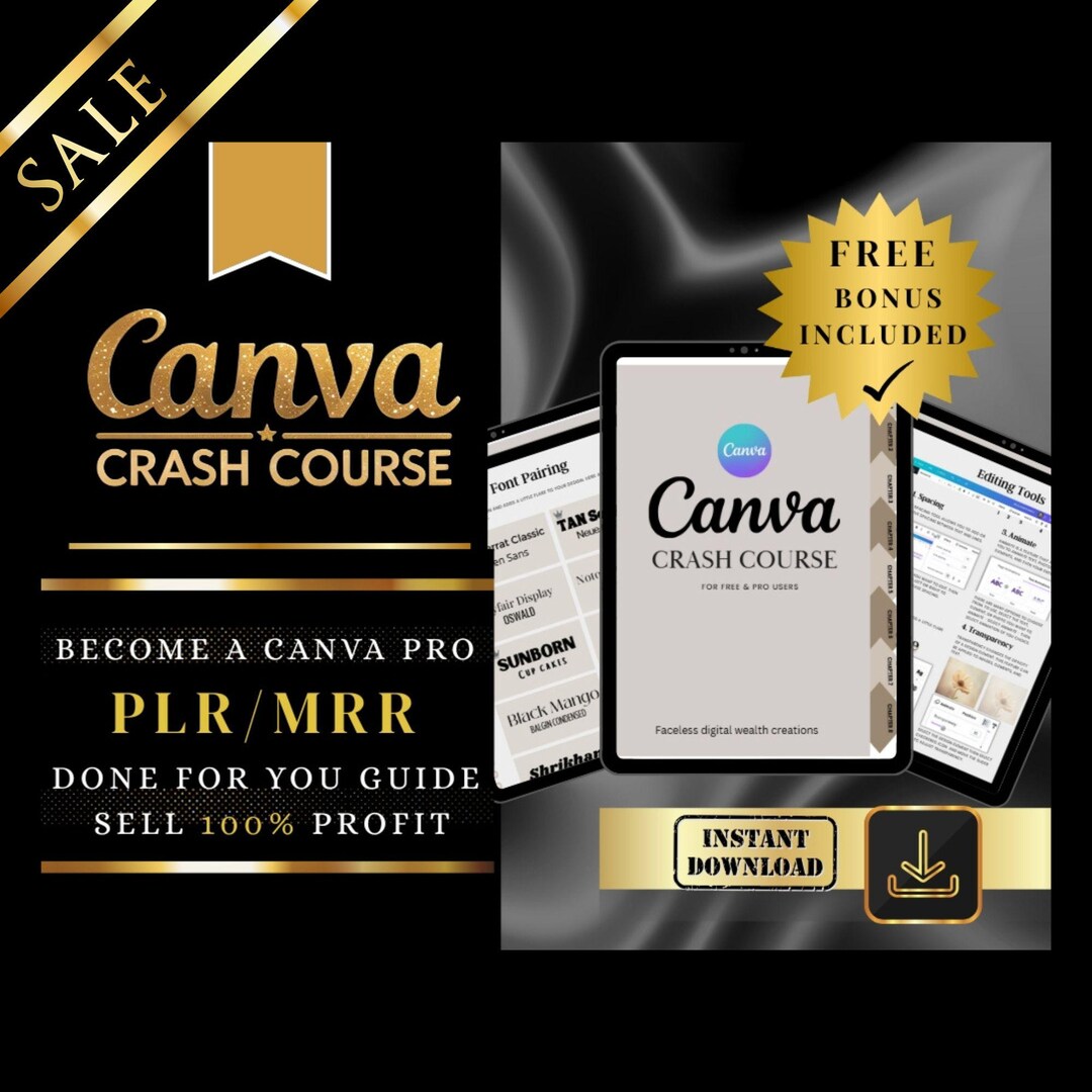 Canva Crash Course PLR/MRR Digital Product - Etsy
