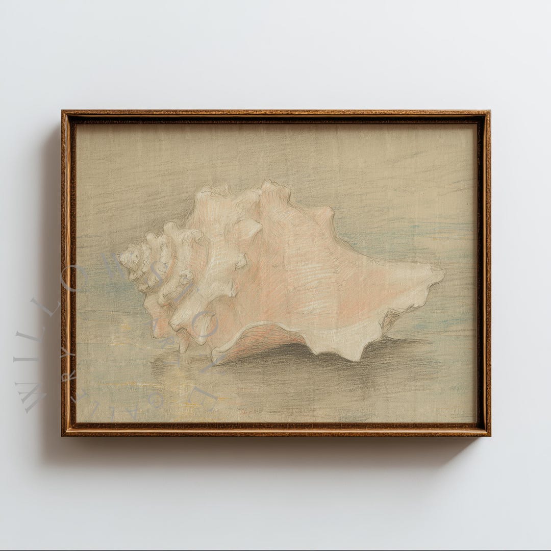 Coastal Conch Shell Drawing - Serene Beach Wall Art, Neutral Tide Pool ...