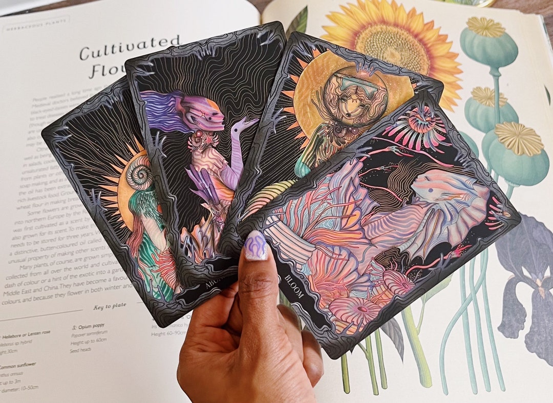 Mermaid Oracle Deck, the Mermaids Purse Oracle Deck, Mermaid Art ...