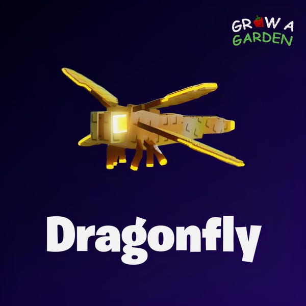 Dragon Fly Gag - Etsy