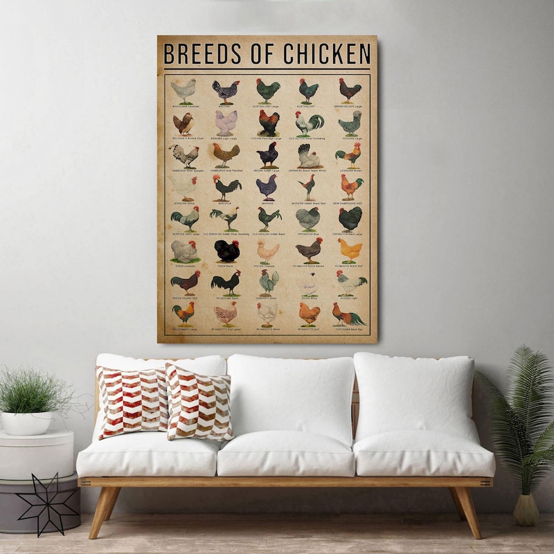 Chicken Poster - Etsy