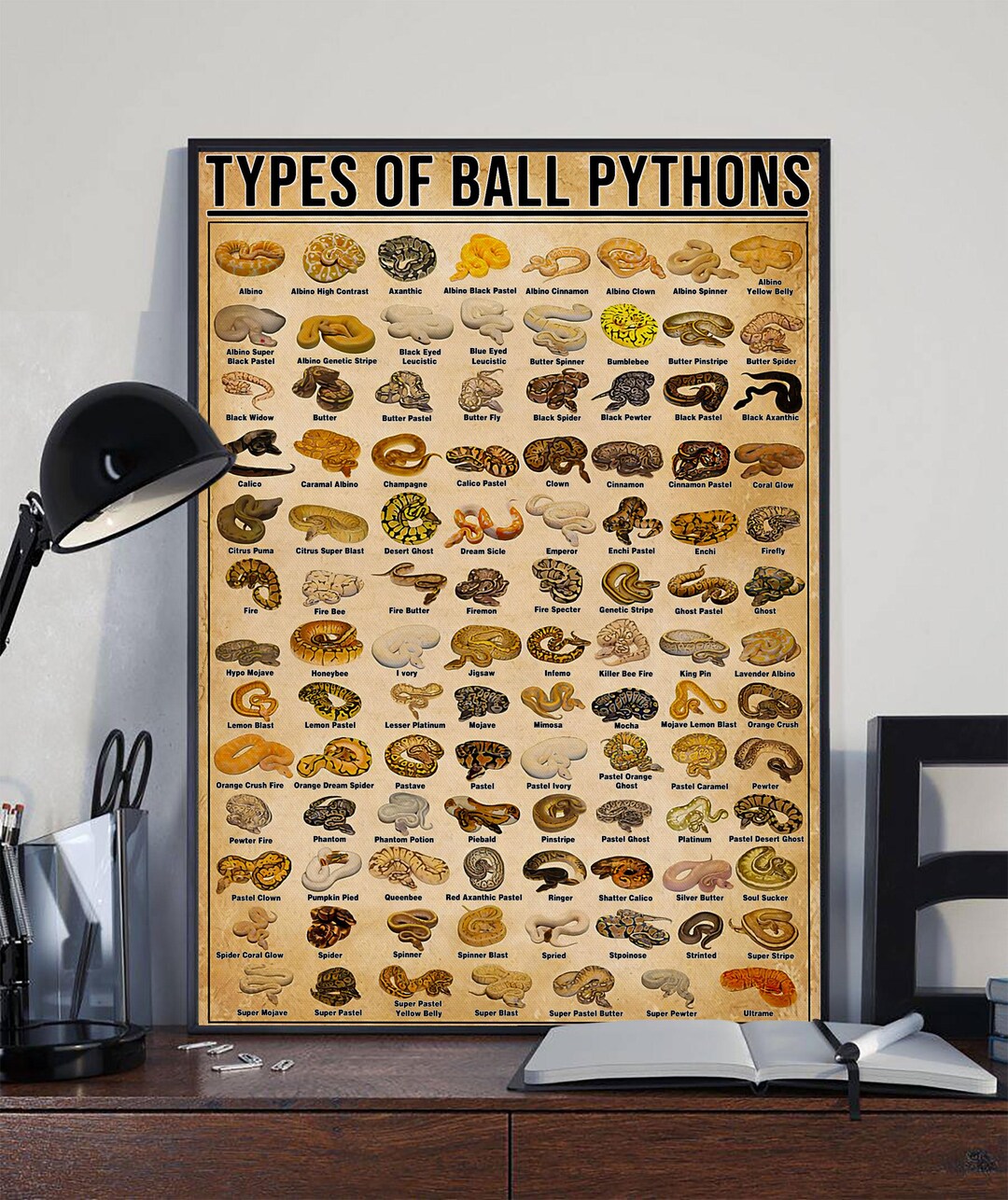 Types of Ball Pythons Poster, Snake Identification Chart Wall Art ...