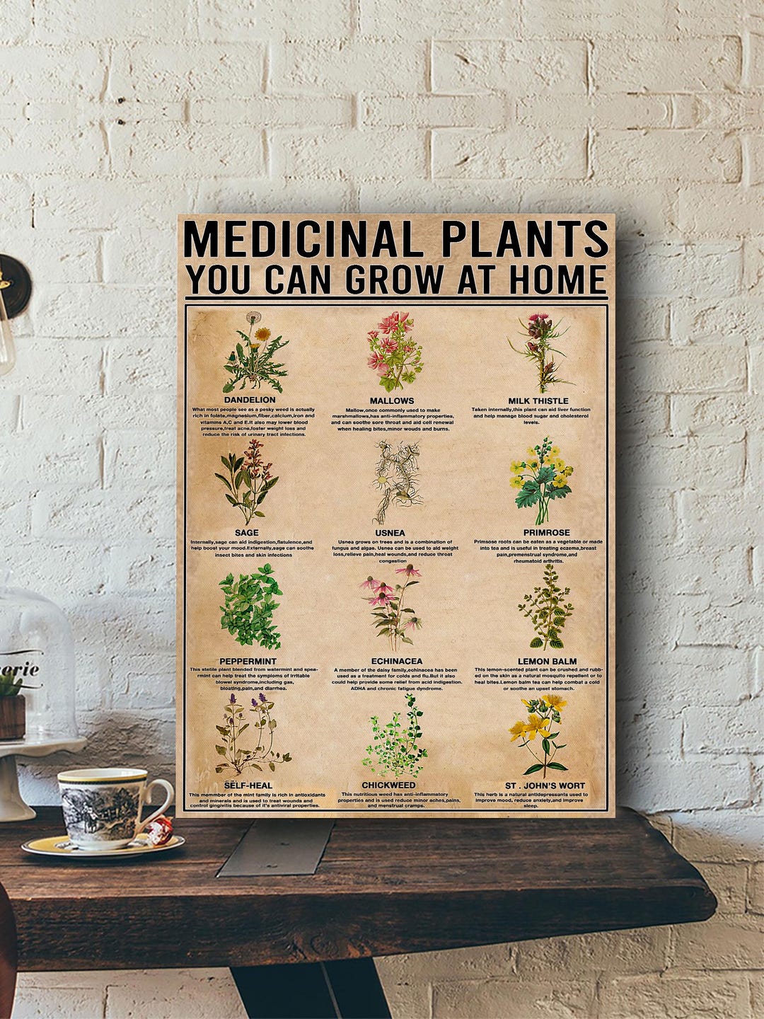 Medicinal Plants Guide Poster, Herbalism Chart Wall Art, for Gardener ...
