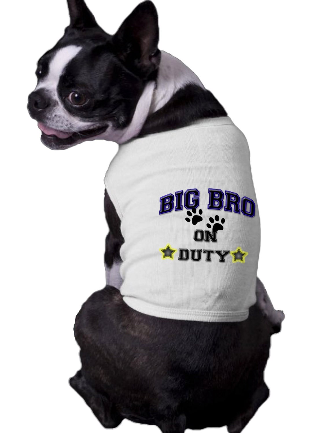 Big Bro Dog Shirt Big Bro on Duty Dog Shirt Family Doggy | Etsy