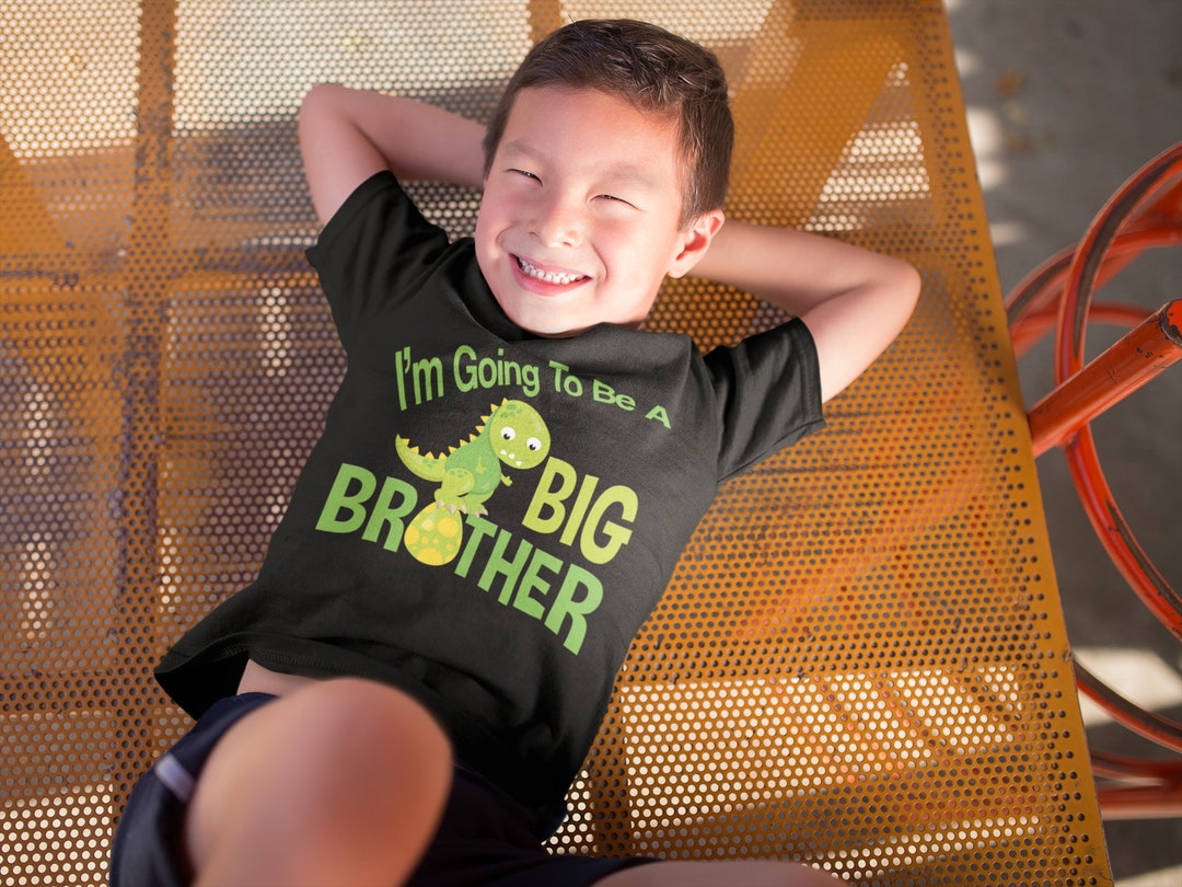 Dinosaur Big Brother Shirt Big Bro Dino Tshirt I'm - Etsy