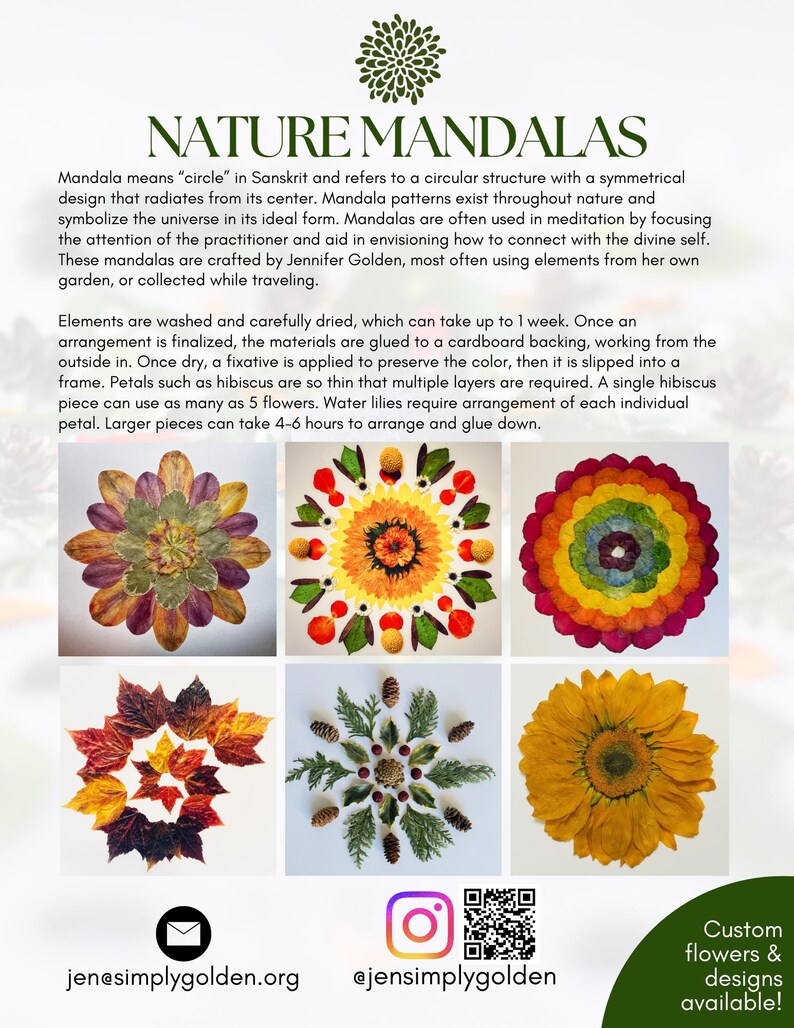 The Chakras Nature Mandala: Real Rose Petals & Clear Quartz in a 12"x12 ...