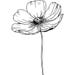 PDF Printable Digital Flower Coloring Book - Etsy