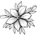 PDF Printable Digital Flower Coloring Book - Etsy
