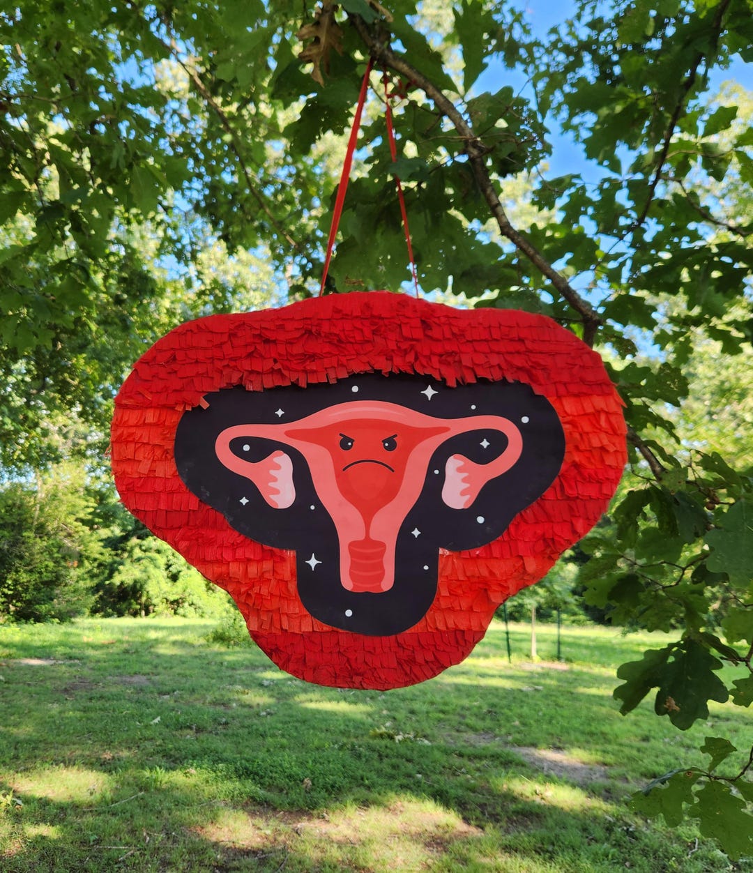 Angry Uterus Piñata - Hysterectomy Party - Period Party - Perimenopause ...