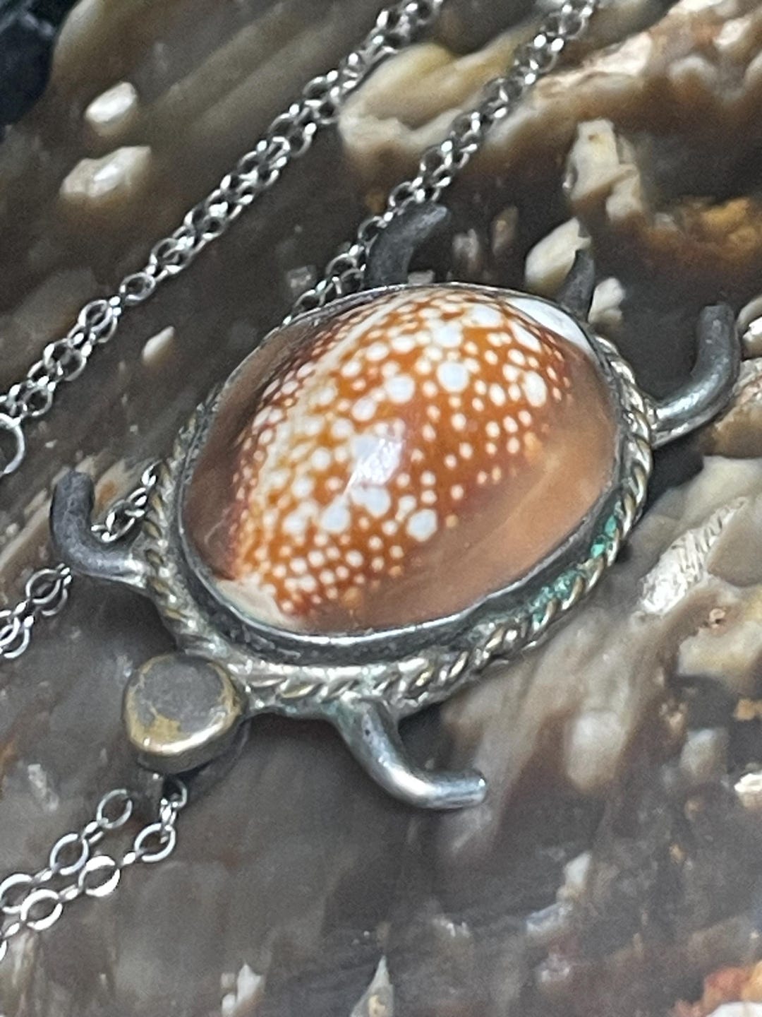 Rare Lakota Mother Earth Sea Turtle Necklace | Vintage Silver-over ...