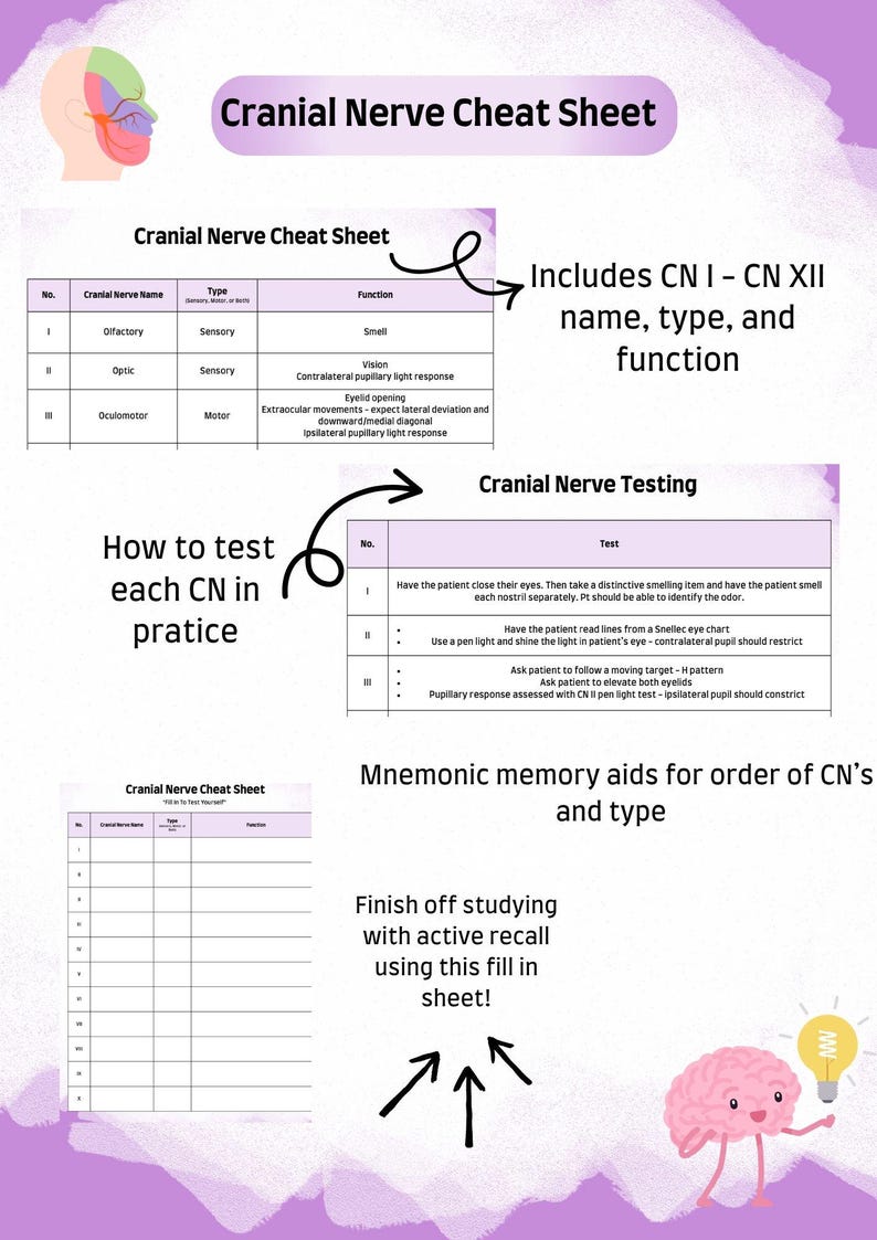 Cranial Nerve Cheat Sheet | Neuroanatomy Reference | Study Guide for PT ...