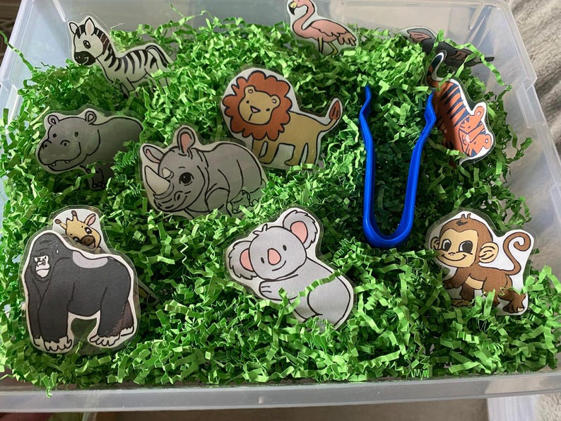 Zoo Sensory Bin - Etsy