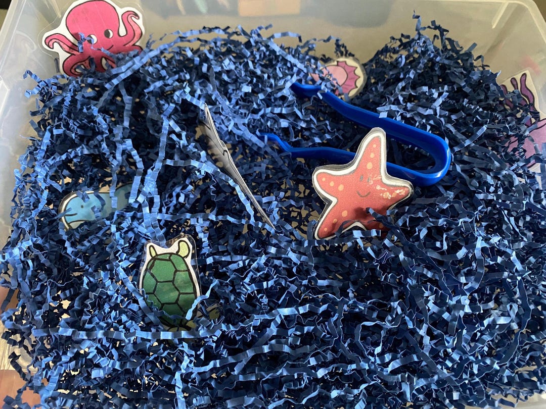 Ocean Animal Sensory Bin - Etsy