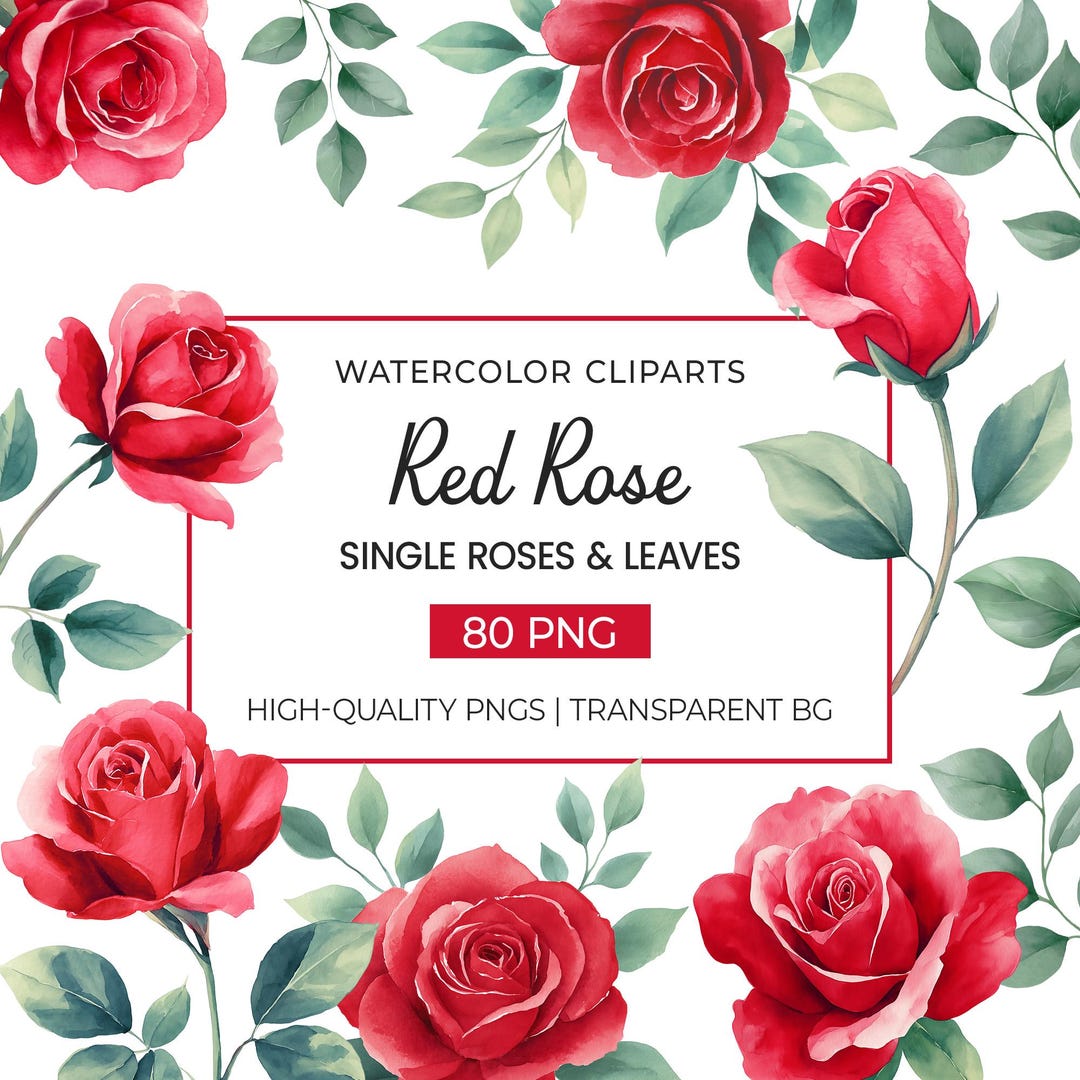 Premium Watercolor 80 Red Rose Cliparts | Single Flower & Leaves ...