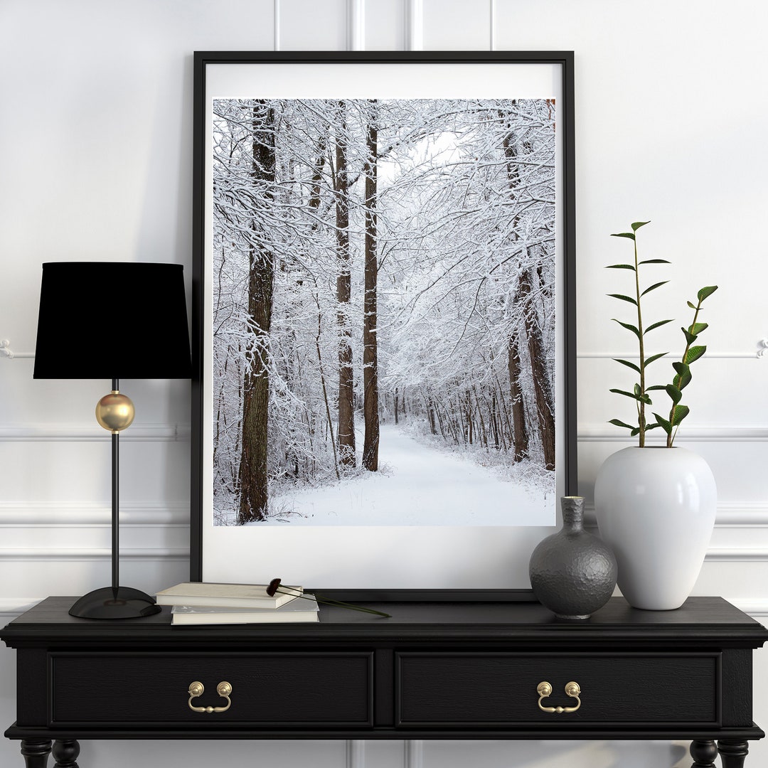 Winter Scene Print, Forest in Snow Print, Snow Covered Woods Photo ...