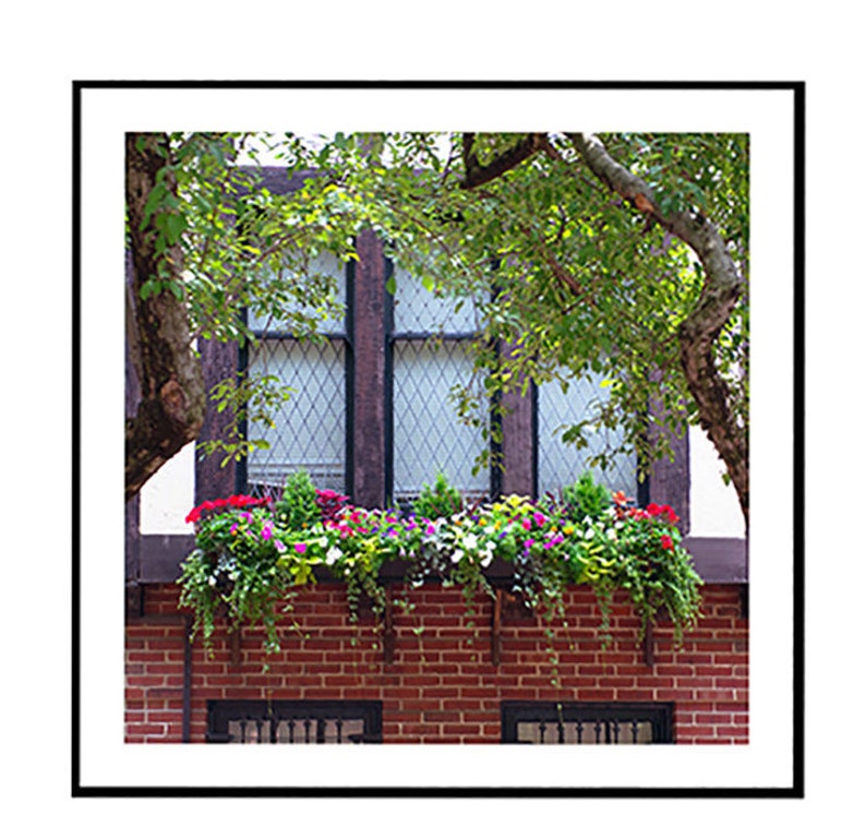 Set of Four City Prints, Urban Windowbox Prints, Doors and Windows ...