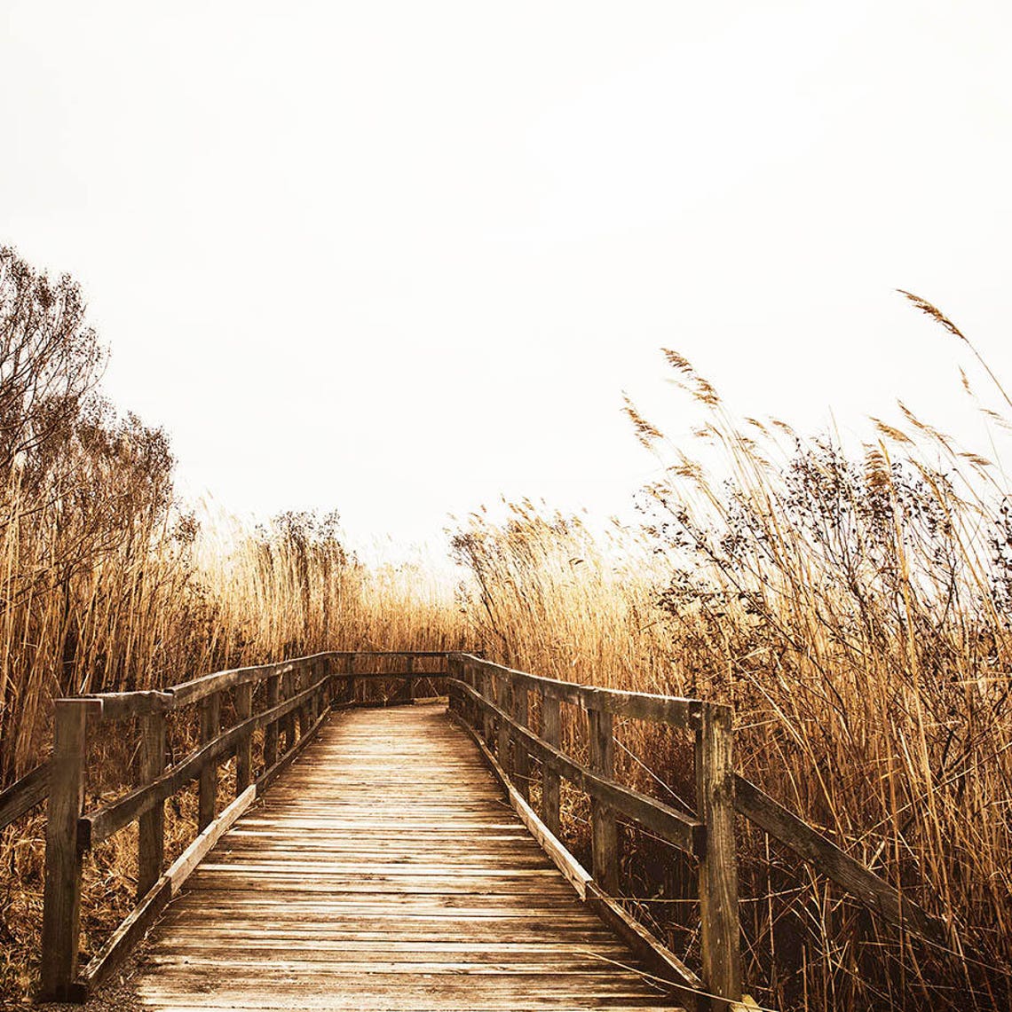 Coastal Boardwalk, Fall Wall Art, Nautical Photography Print, Neutral ...