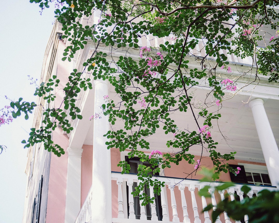 Spring Flowers Print, Charleston Spring Photo, Cindy Taylor Photography ...