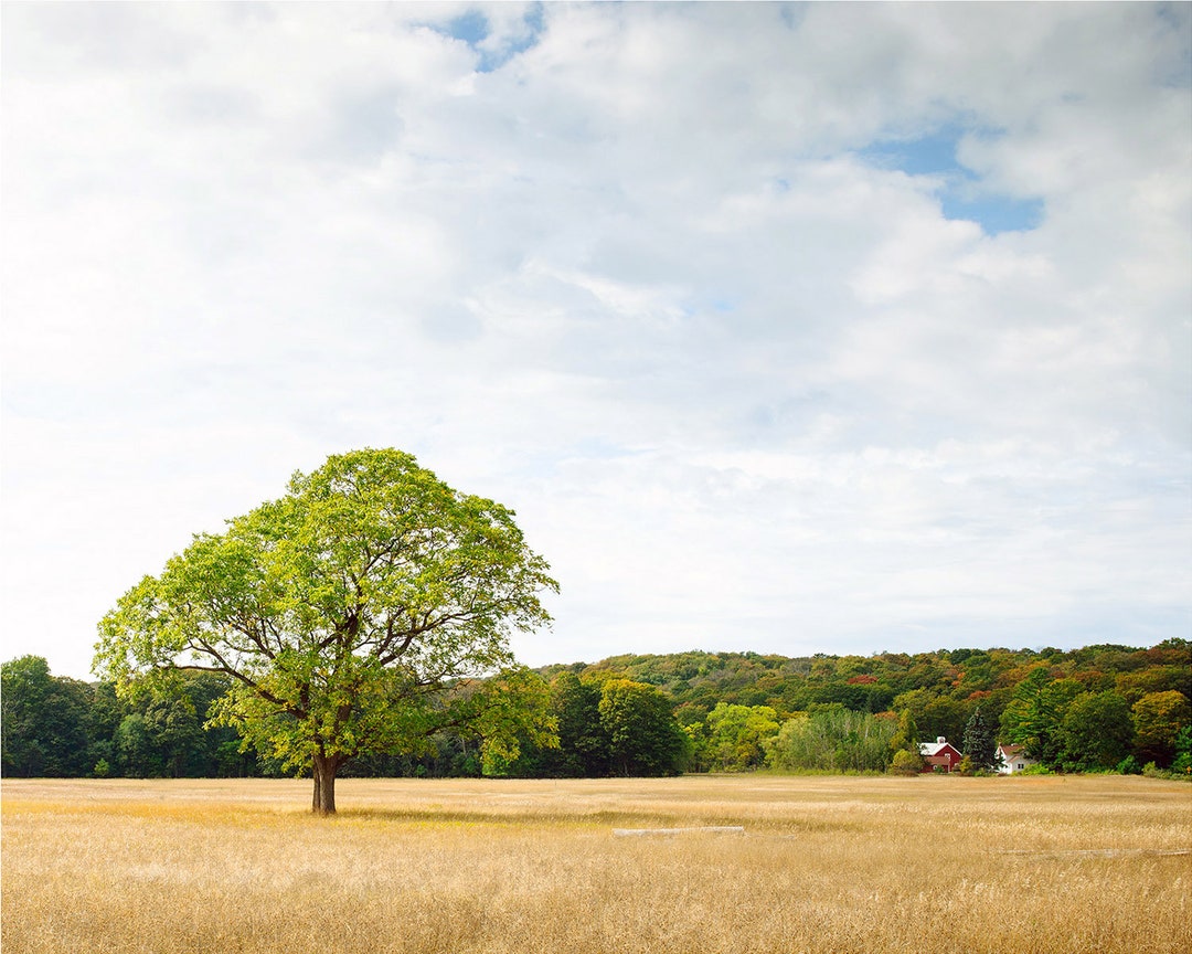 Farmhouse Print, Country Decor, Landscape Photography, Farm Field Image ...