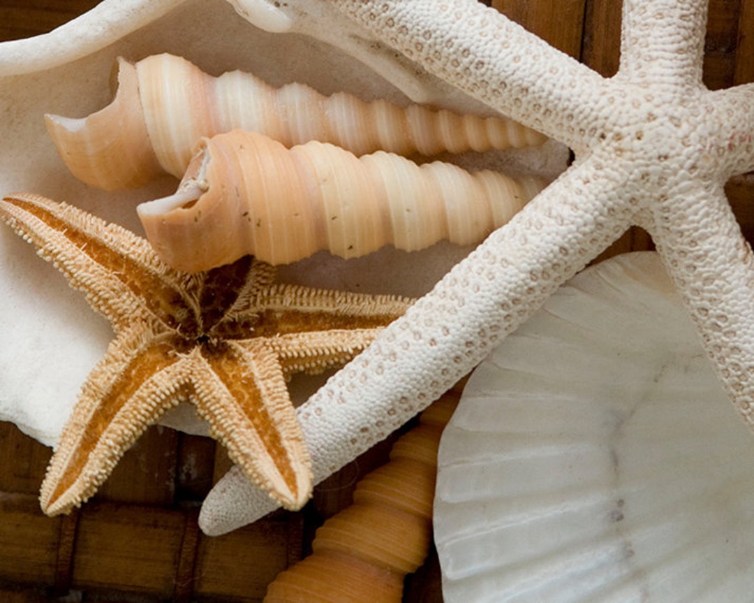 Nature, Photography, Sea Inspired, Coastal, 8x10 Fine Art Photography ...