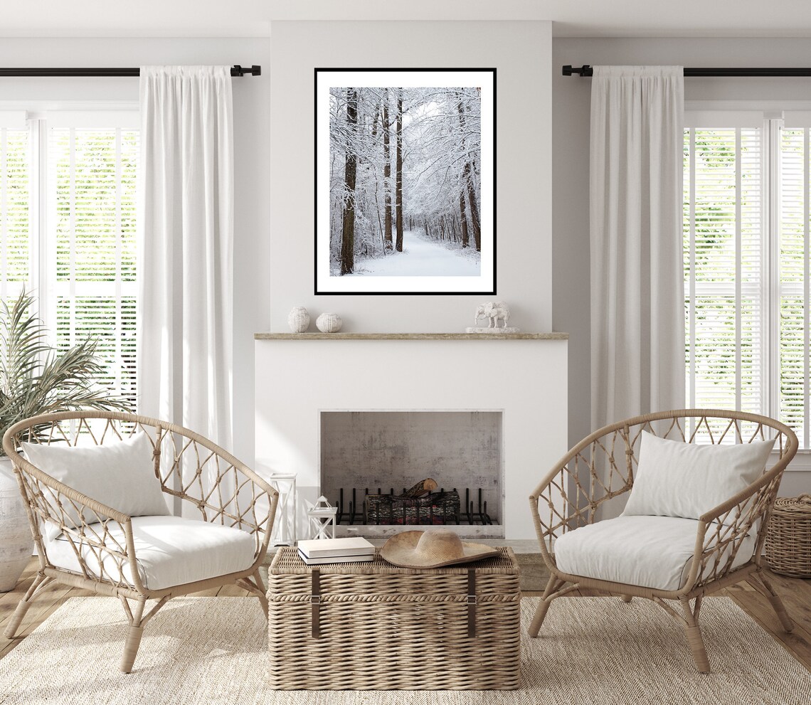 Winter Scene Print, Forest in Snow Print, Snow Covered Woods Photo ...