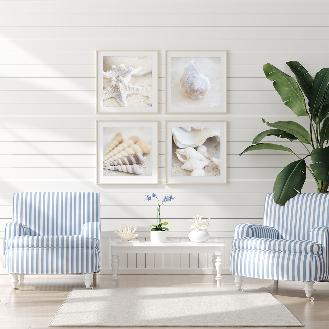 Shell Photos, Shell Prints, Shell Print Set, Seashell Shapes, Shell ...