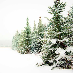 Snowy Red Barn and Pine Trees Holiday Set of 2, Snow Scene Prints ...