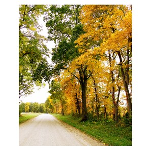 Autumn Country Road, Fall Colors Country Print, Modern Country Decor ...