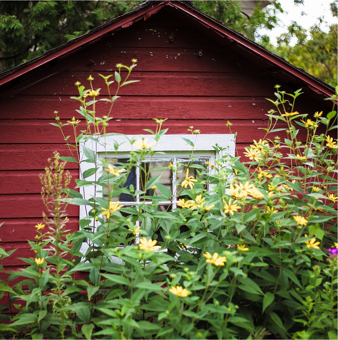 Modern Farmhouse Decor, Little Red Barn Farm Print, Rustic Art, Farm ...