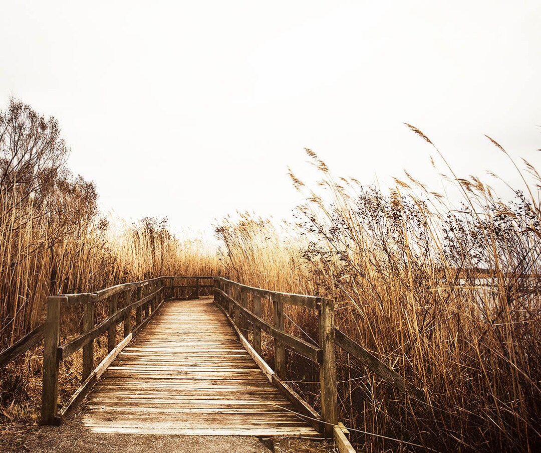Coastal Boardwalk, Fall Wall Art, Nautical Photography Print, Neutral ...