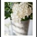 White Hydrangea Print Floral Wall Art Botanical Photo Large - Etsy